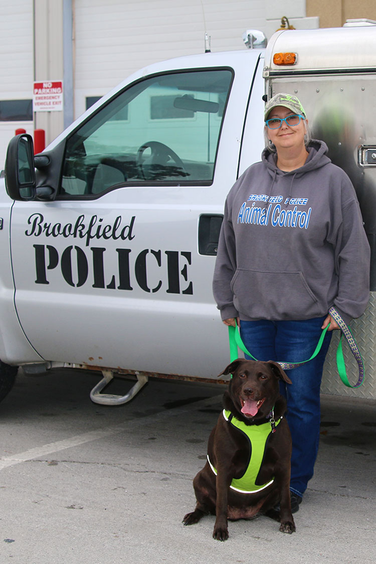 Animal Control - City of Brookfield